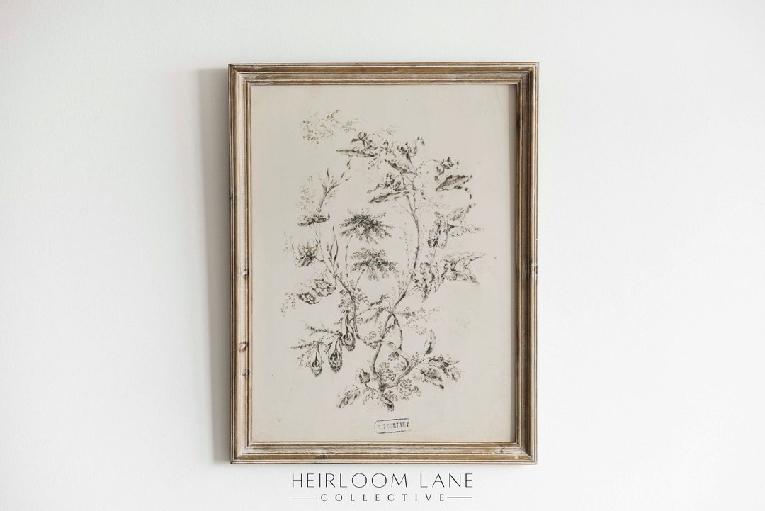 Vintage Tree Bough Sketch | Printable Digital Download | Vintage ...