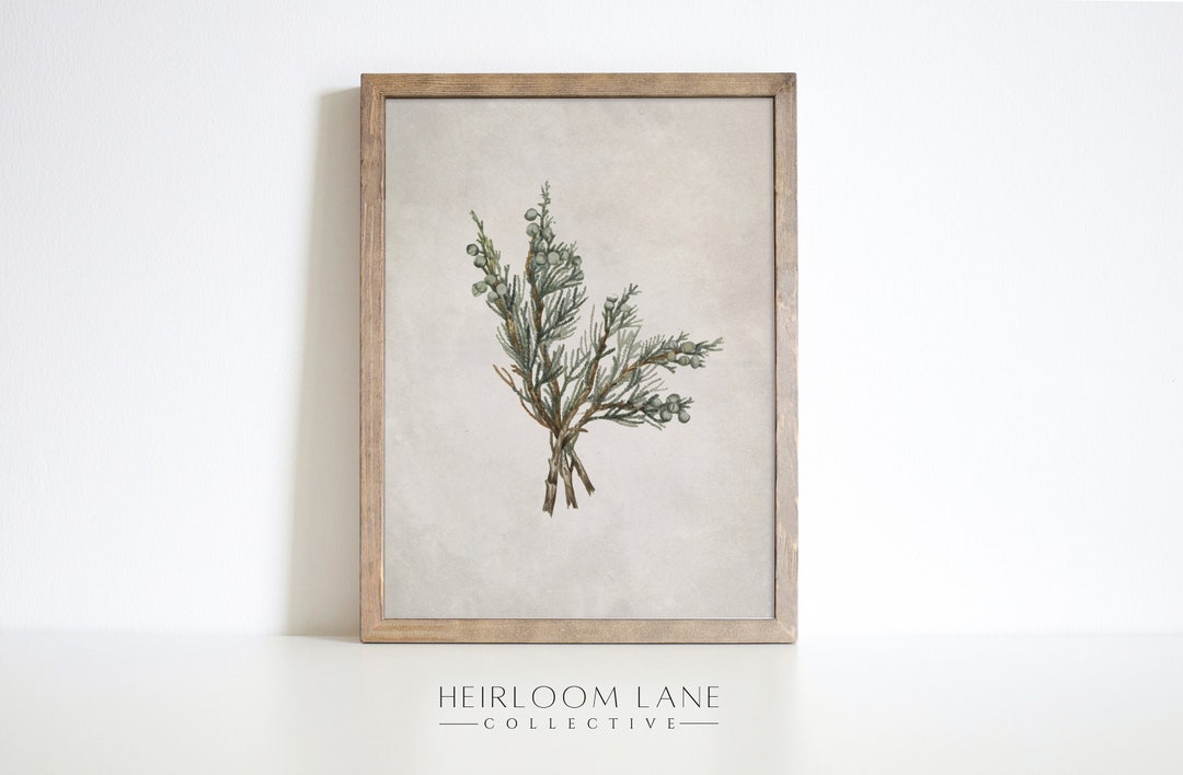 Vintage Nordic Tree Sprig Print | Printable Digital Download | Vintage ...