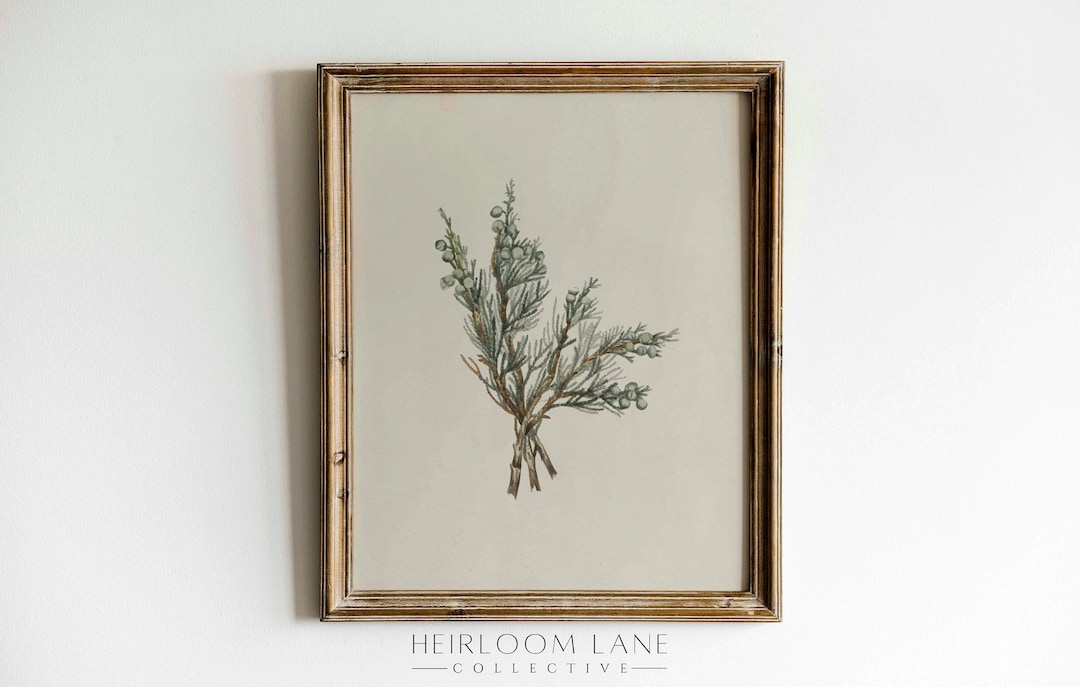 Vintage Tree Bough Study | Printable Digital Download | Vintage Holiday ...