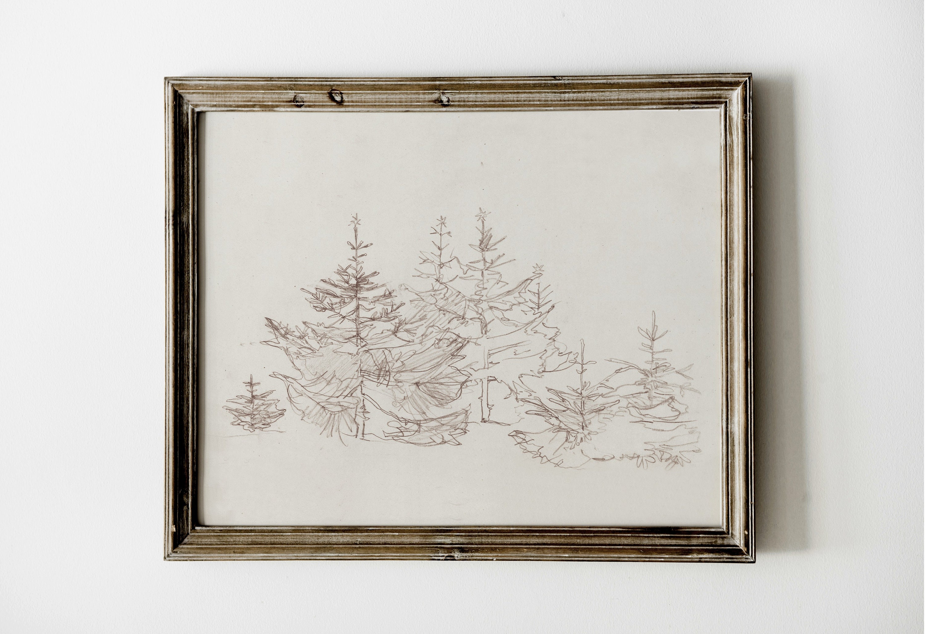 Vintage Pine Tree Sketch | Printable Digital Download | Vintage Holiday ...