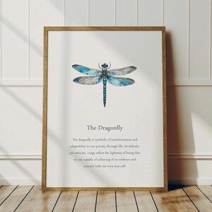 Dragonfly Meaning & Symbolism Print | Illustrated Wall Art ...