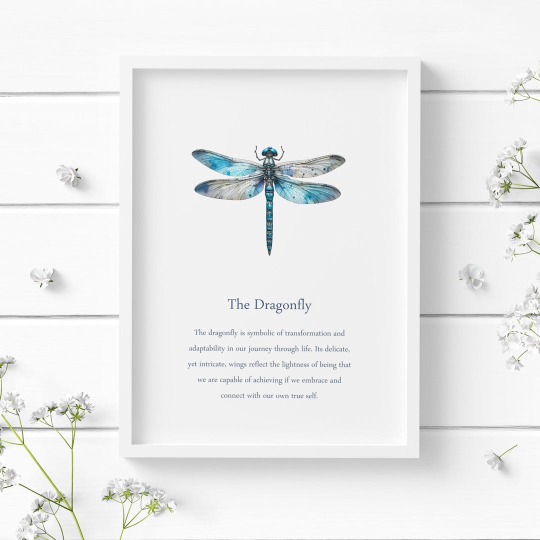 Dragonfly Meaning & Symbolism Print | Illustrated Wall Art ...