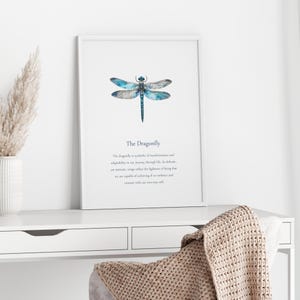 Dragonfly Meaning & Symbolism Print | Illustrated Wall Art ...