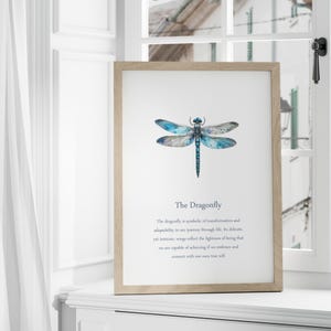 Dragonfly Meaning & Symbolism Print | Illustrated Wall Art ...