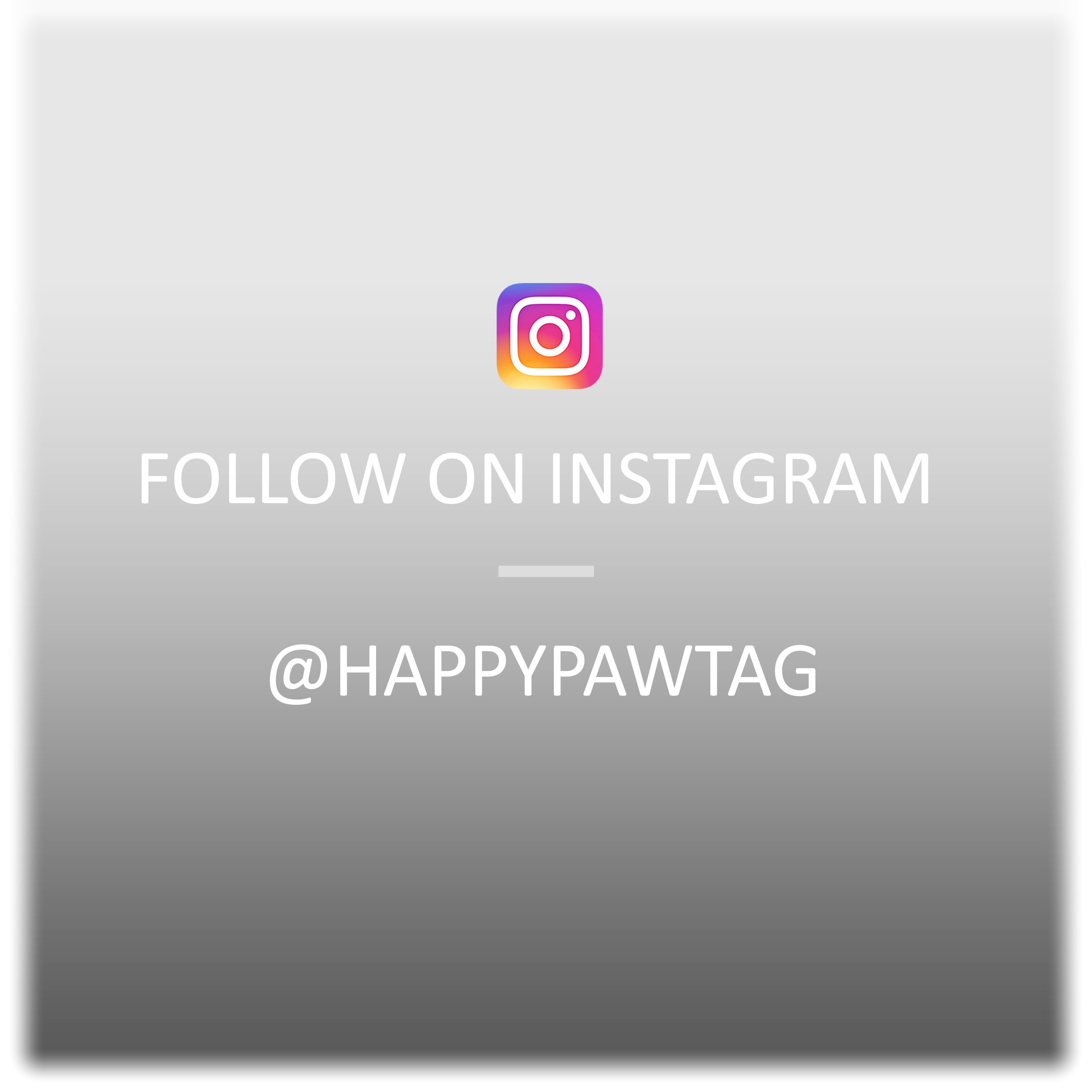 Personalized Shield of Knight Dog Tag ID for Collar With - Etsy