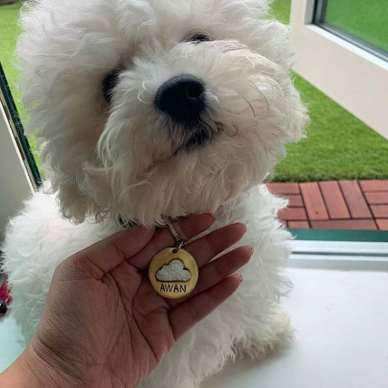 Personalized Dog Tag ID Fluffy Cloud for Collar Tag With - Etsy