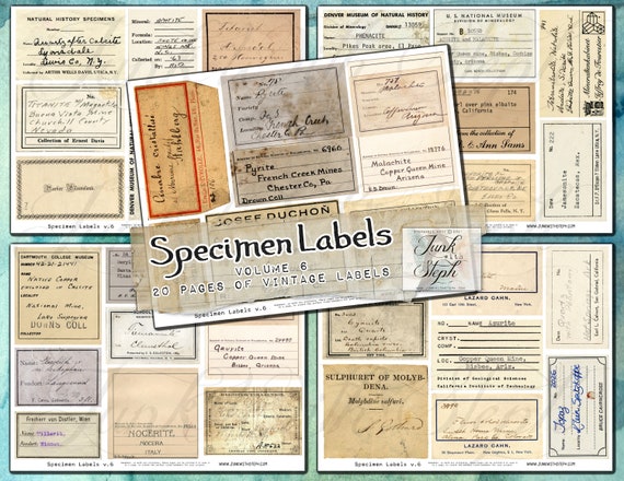 Specimen Labels Vol. 6 With 20 Pages Over 150 Separate - Etsy