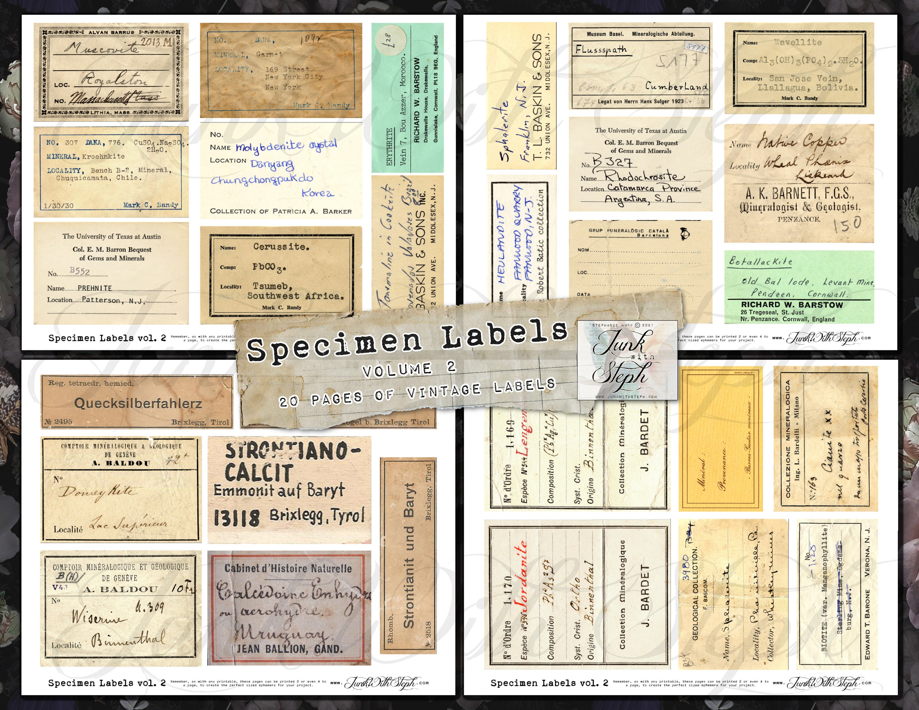 Specimen Labels Vol.2 With 20 Pages With Over 150 Seperate - Etsy