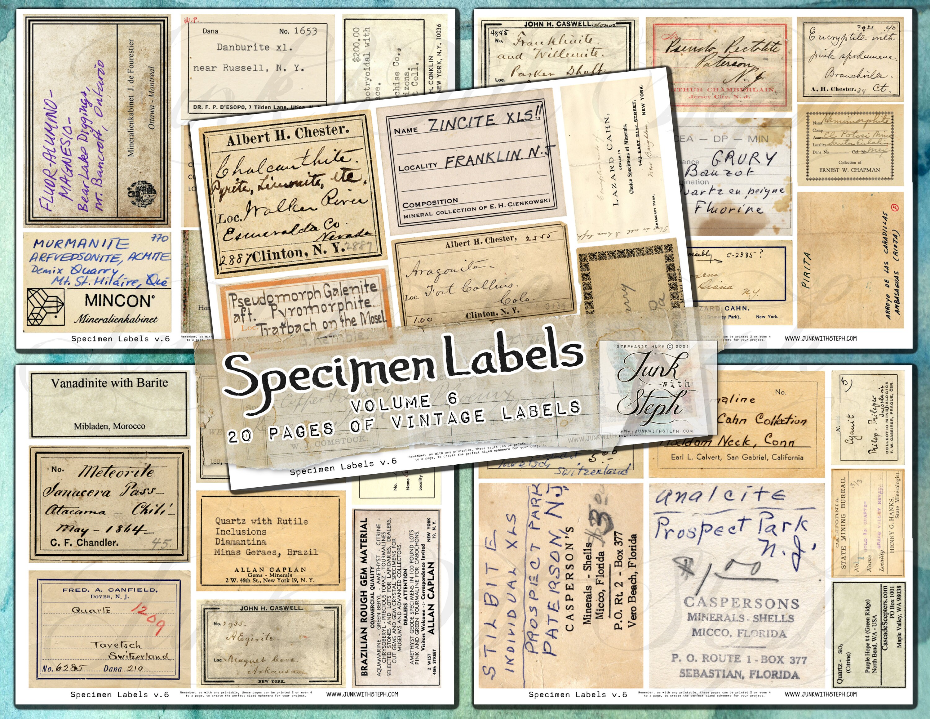 Specimen Labels Vol. 6 With 20 Pages Over 150 Separate - Etsy