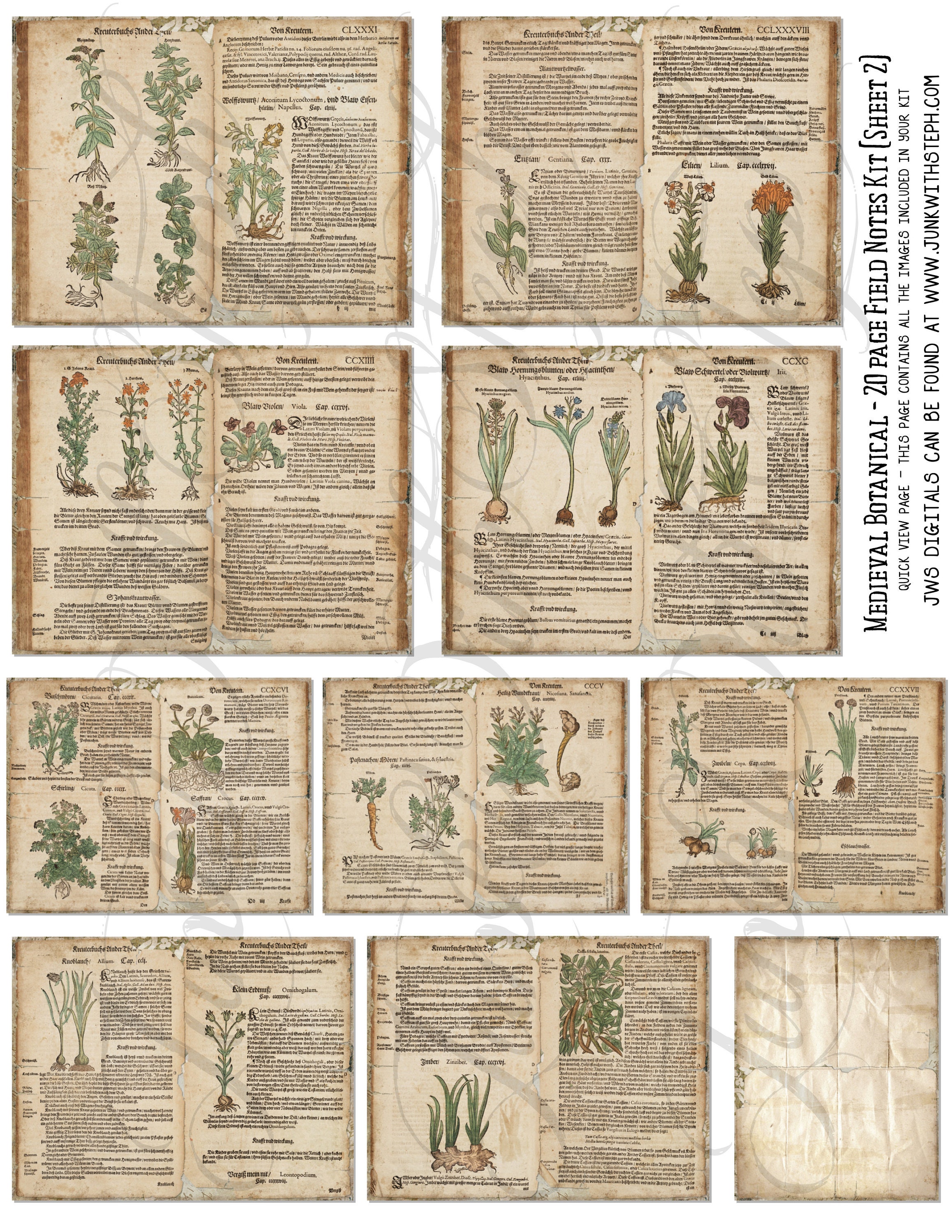 Medieval Botanical Illustrations: 1700s Antique Script (digital ...