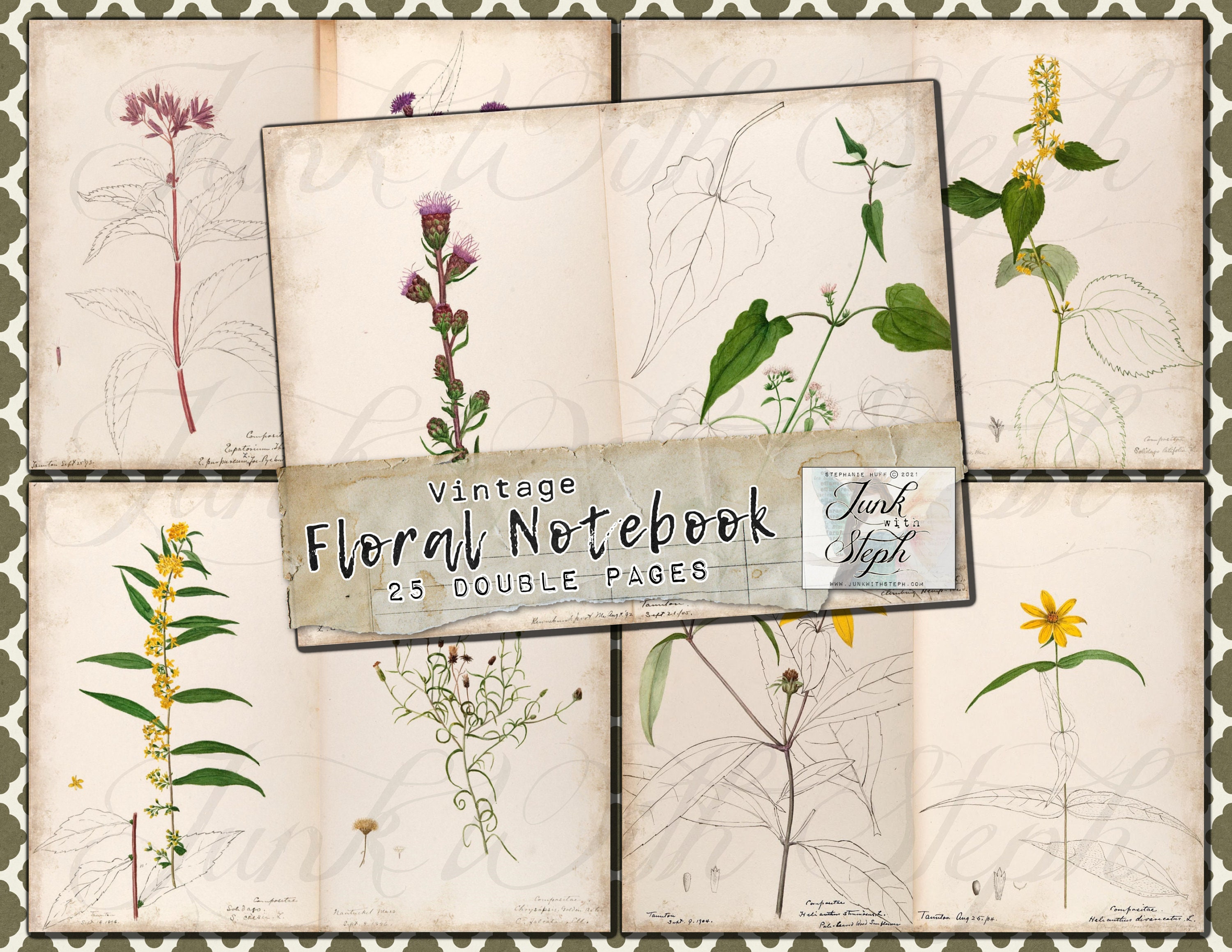 Vintage Floral Notebook 25 Page Botanical 1906 Illustration - Etsy