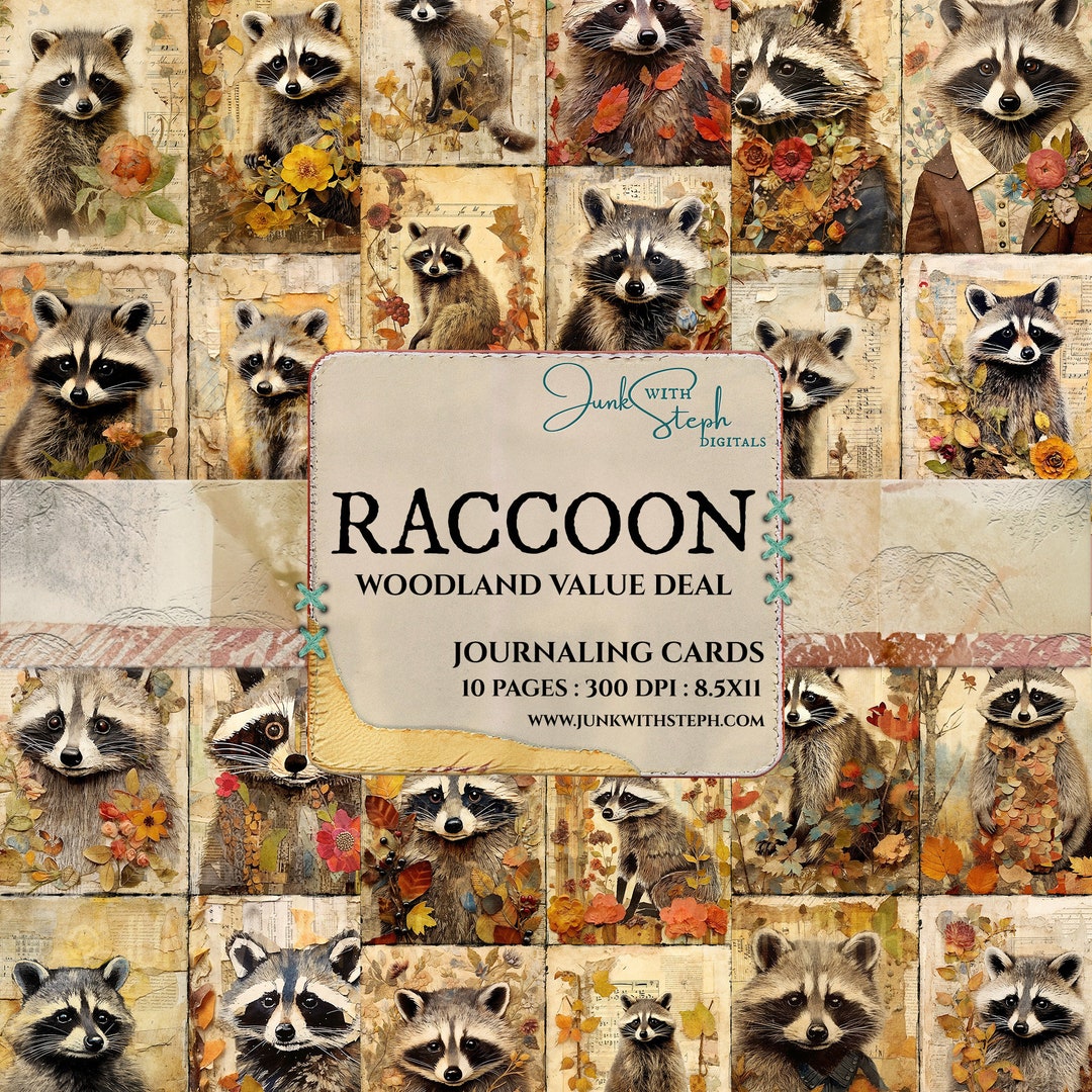 Woodland DEAL - RACCOON -10 Pages of Journaling Card Mixed Media ...