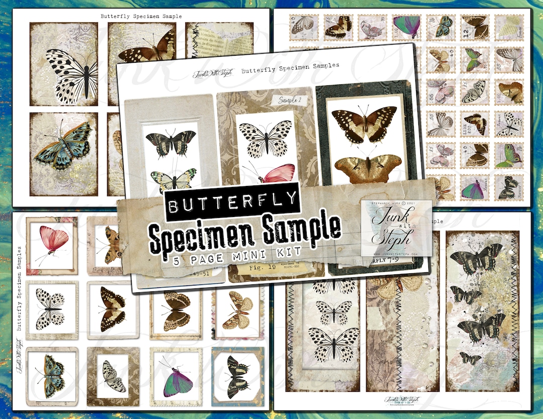 Butterfly Specimen Sample- 5 Page Ephemera Kit- Matches the "vintage ...