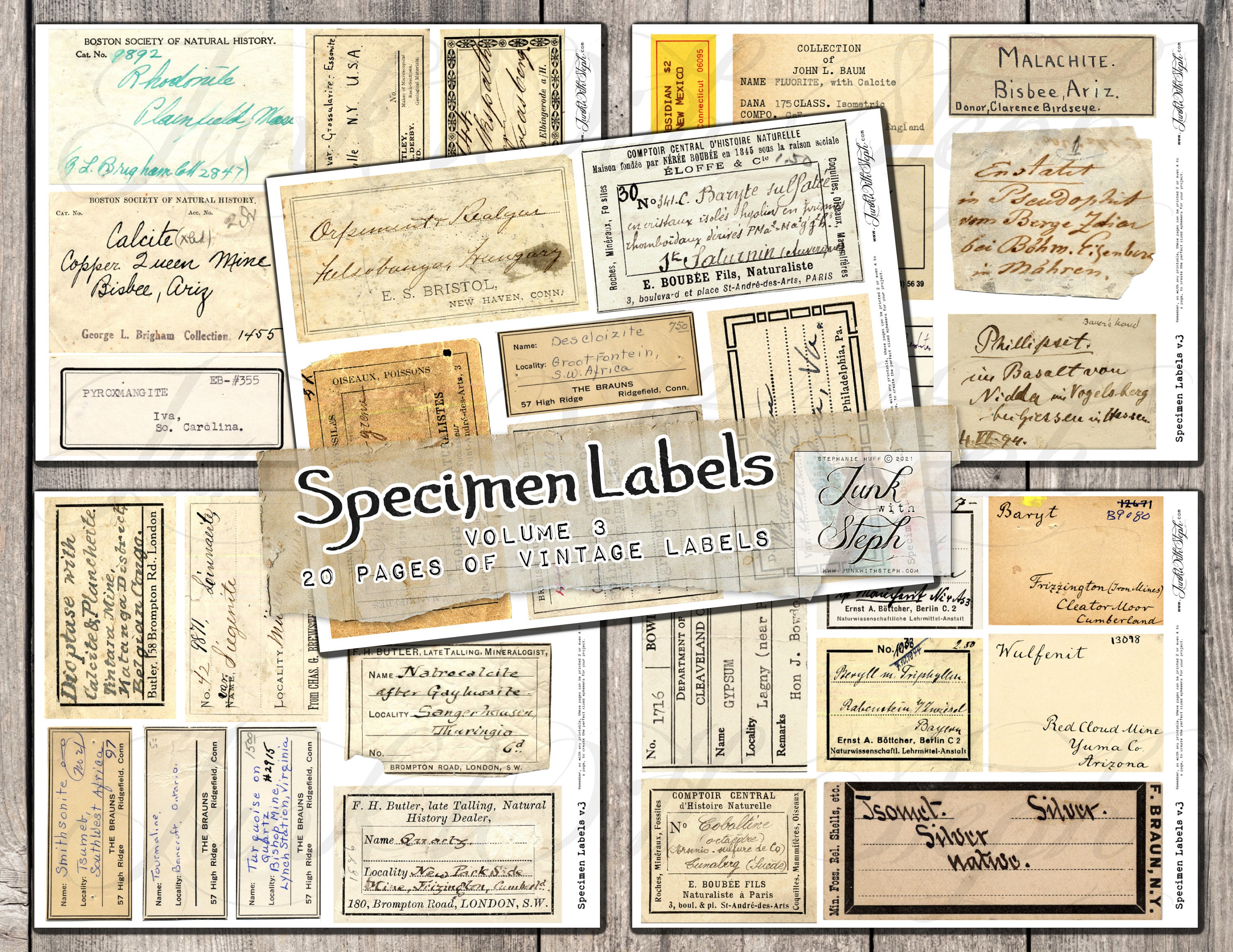 Specimen Labels Vol. 3 With 20 Pages With Over 150 Seperate | Etsy
