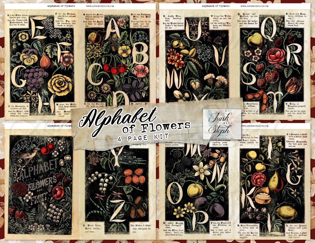 Alphabet of Flowers 4 Full Size Pages of Bold Vibrant Colorful Fruits ...
