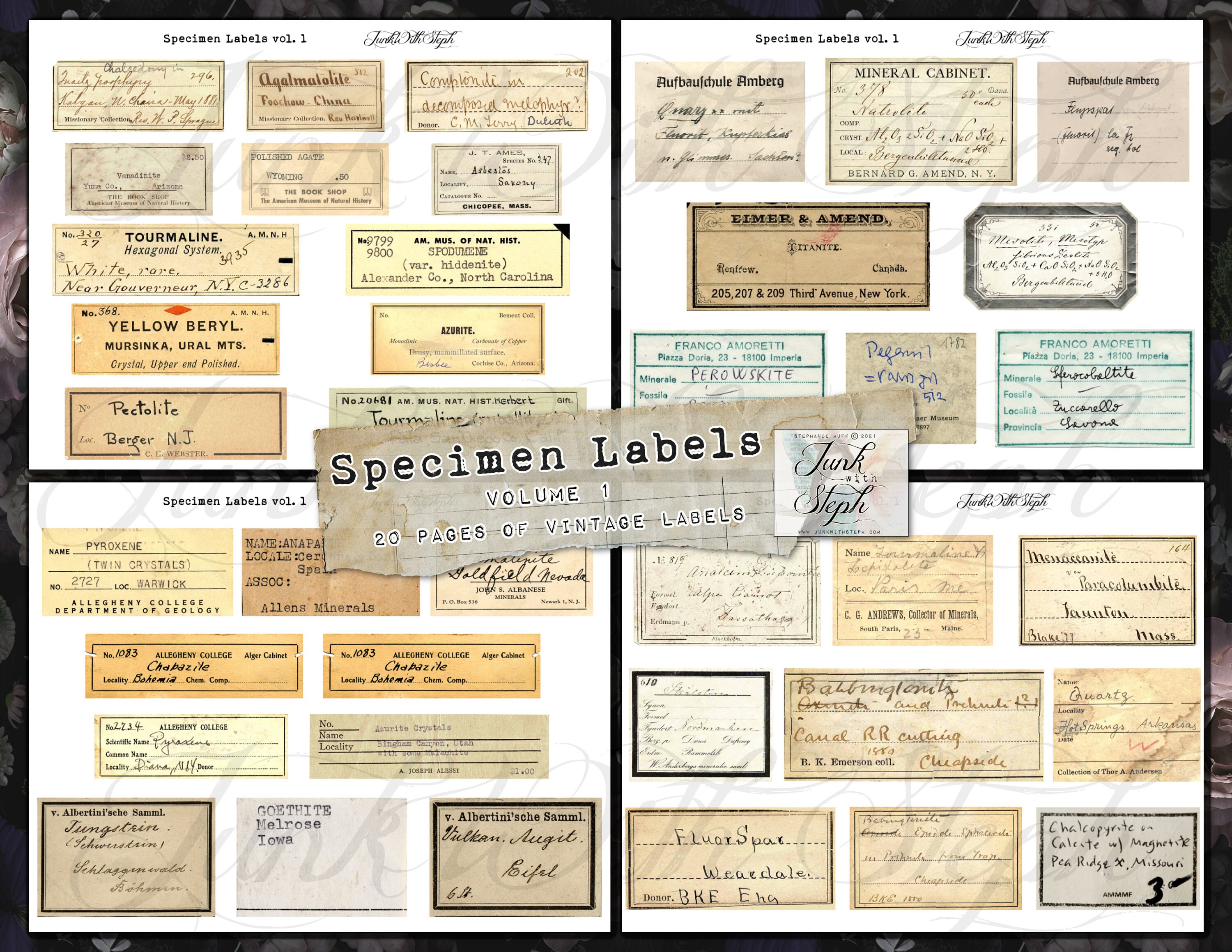 Specimen Labels Vol.1 with 20 pages with over 150 seperate | Etsy