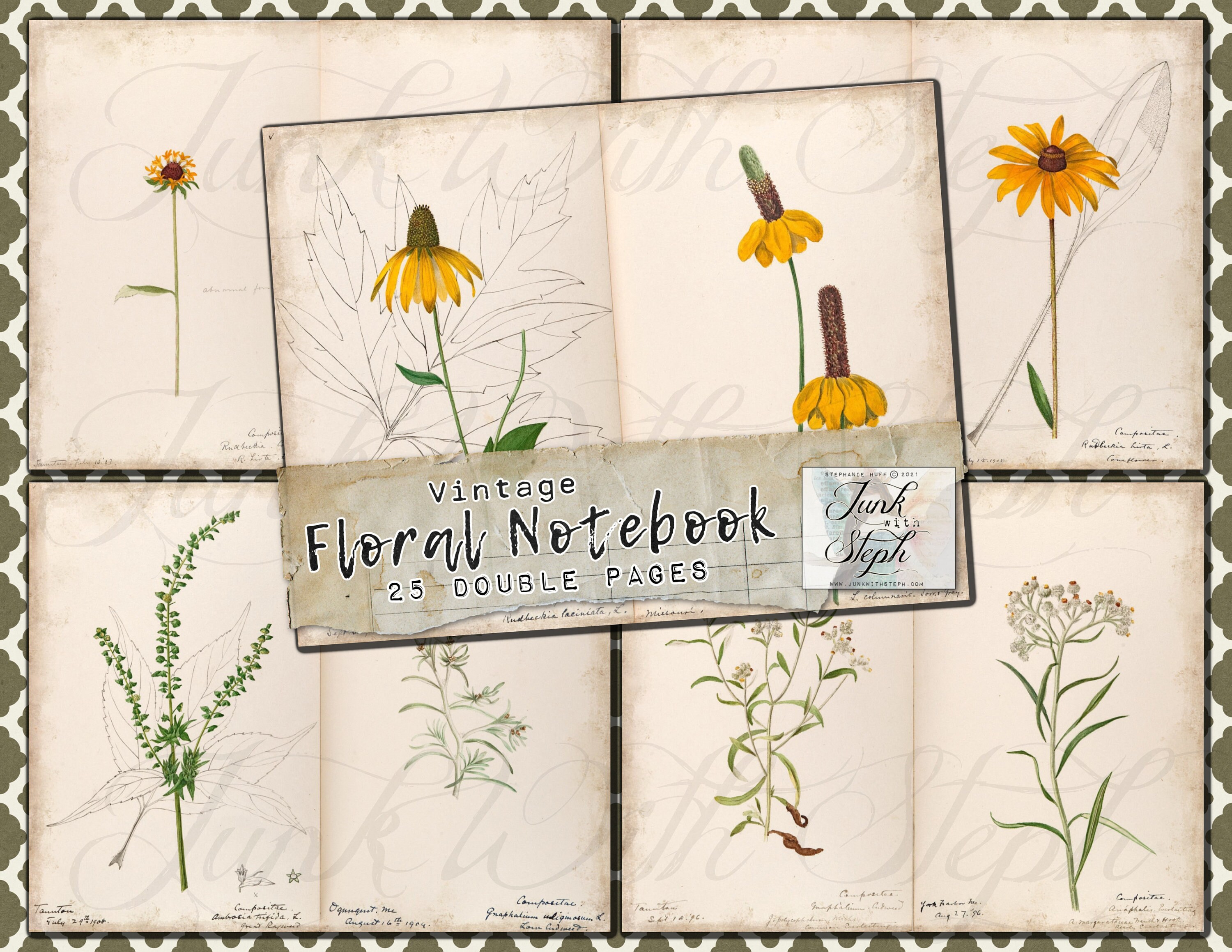 Vintage Floral Notebook 25 Page Botanical 1906 Illustration | Etsy