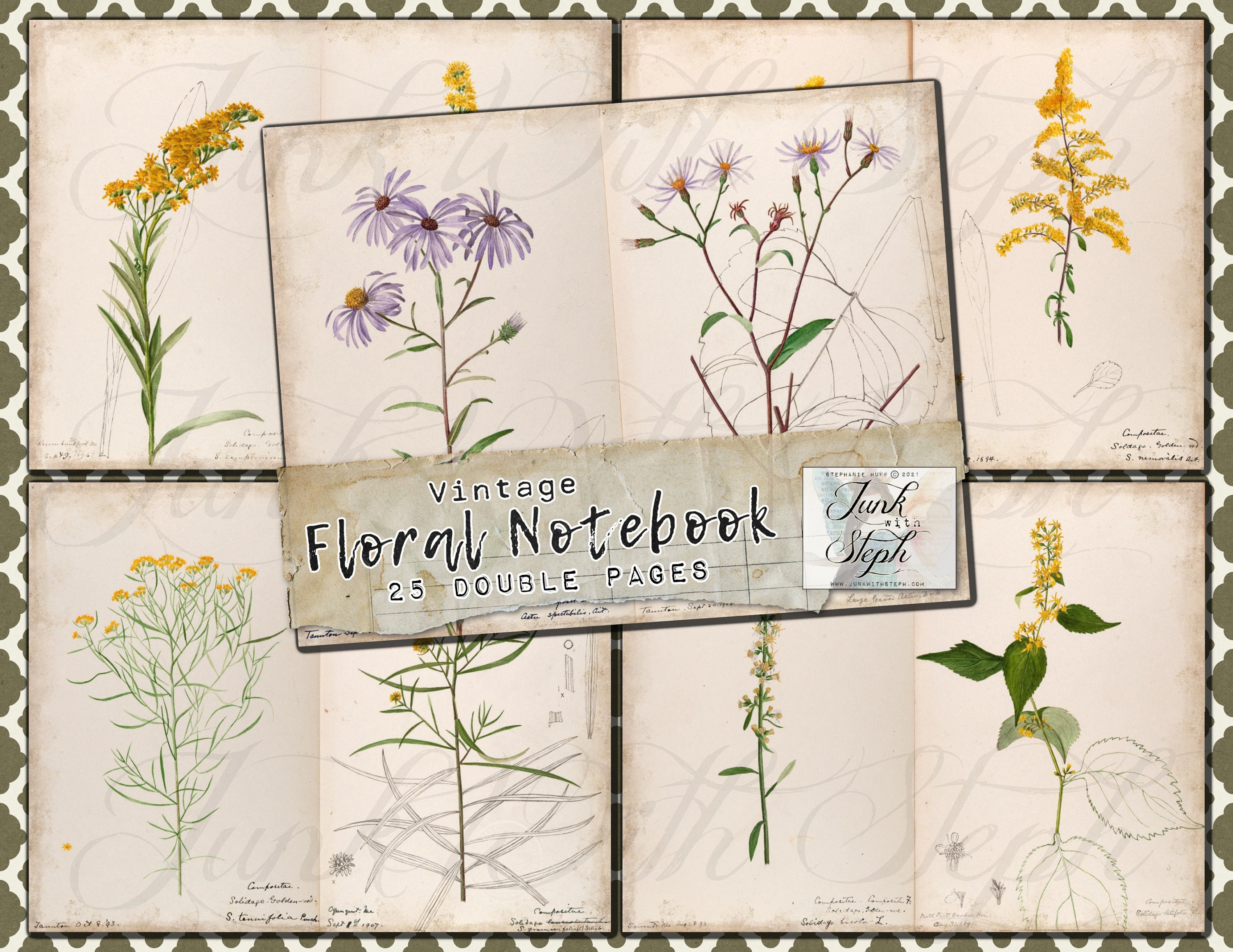 Vintage Floral Notebook 25 Page Botanical 1906 Illustration - Etsy