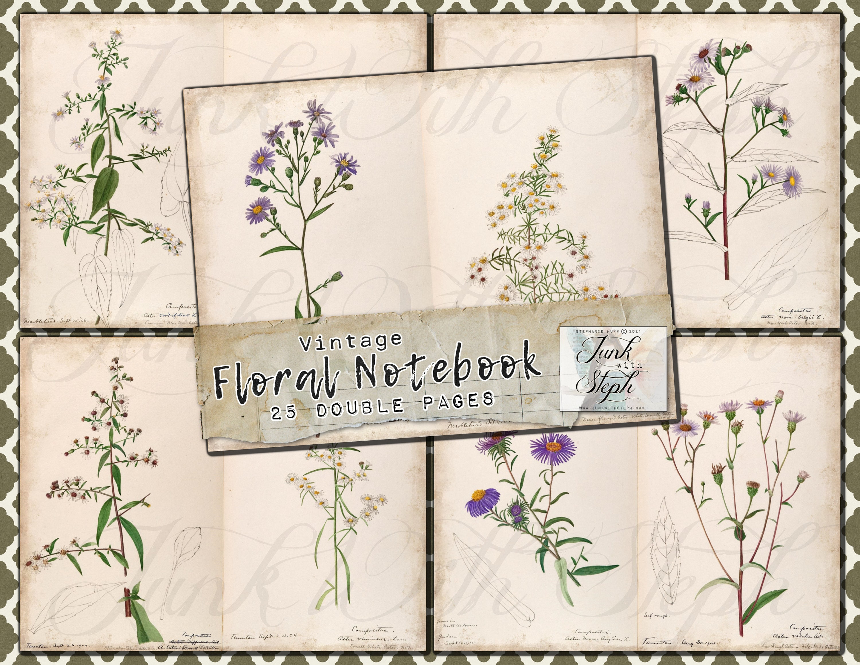 Vintage Floral Notebook 25 Page Botanical 1906 Illustration - Etsy