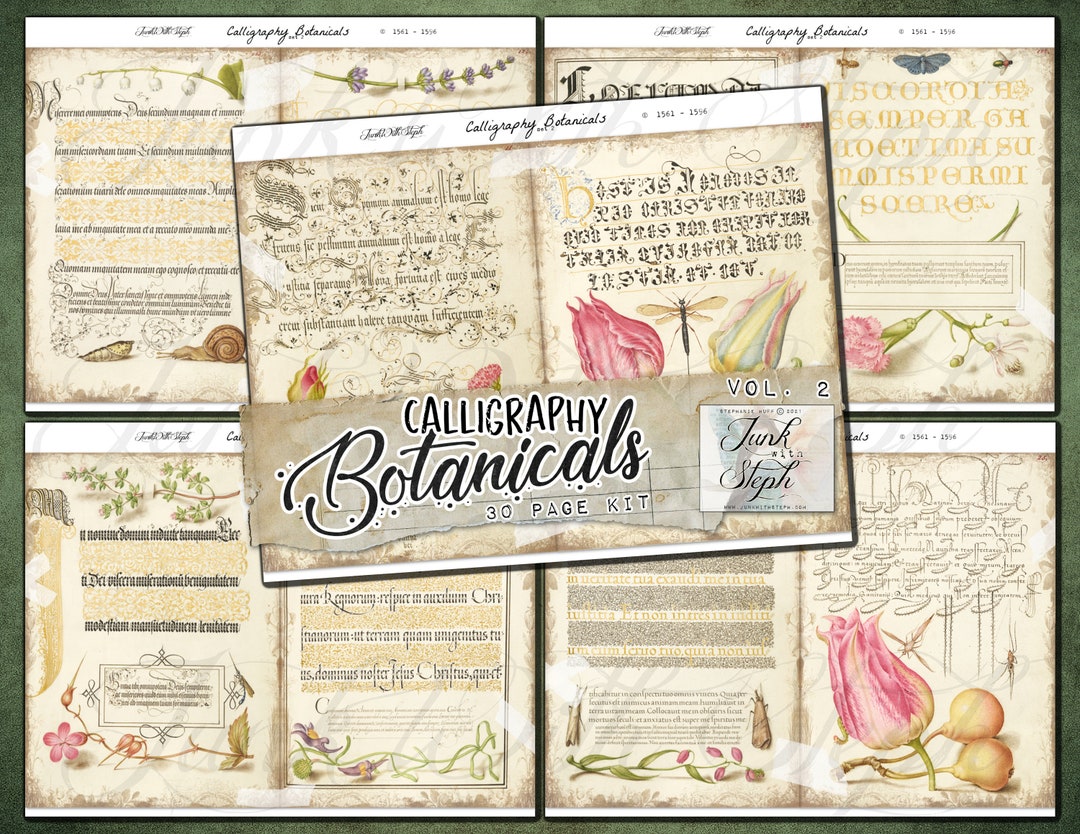 Calligraphy Botanical Vol. 2, 30 Double Pages 1561-1596 Medieval ...