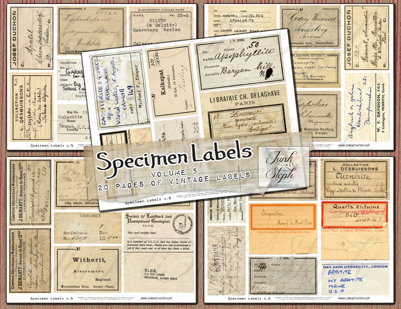 Specimen Labels Vol. 5 With 20 Pages Over 150 Separate - Etsy