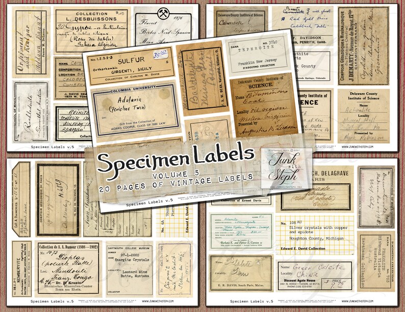 Specimen Labels Vol. 5 With 20 Pages Over 150 Separate - Etsy