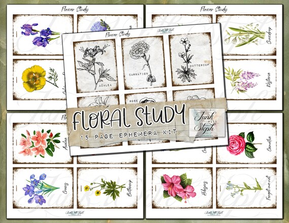 Floral Study Flash Cards of Various and Vibrant Flowers. 72 - Etsy