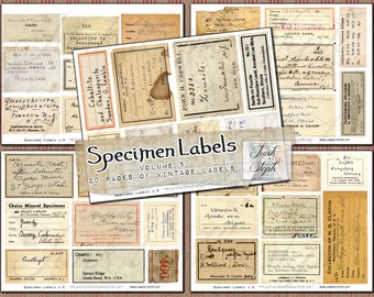 Specimen Labels Vol. 5 With 20 Pages Over 150 Separate - Etsy