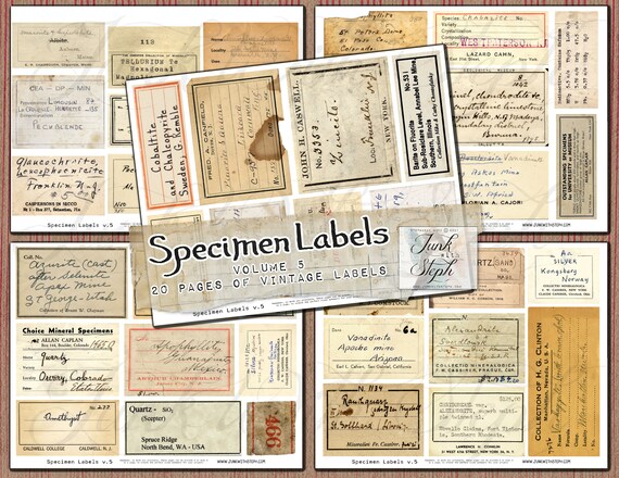 Specimen Labels Vol. 5 With 20 Pages Over 150 Separate - Etsy