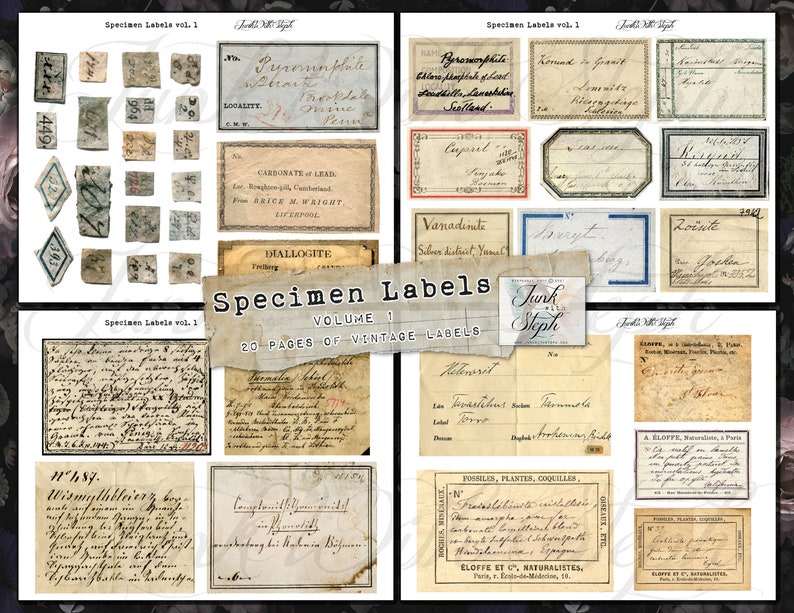 Specimen Labels Vol.1 With 20 Pages With Over 150 Seperate - Etsy