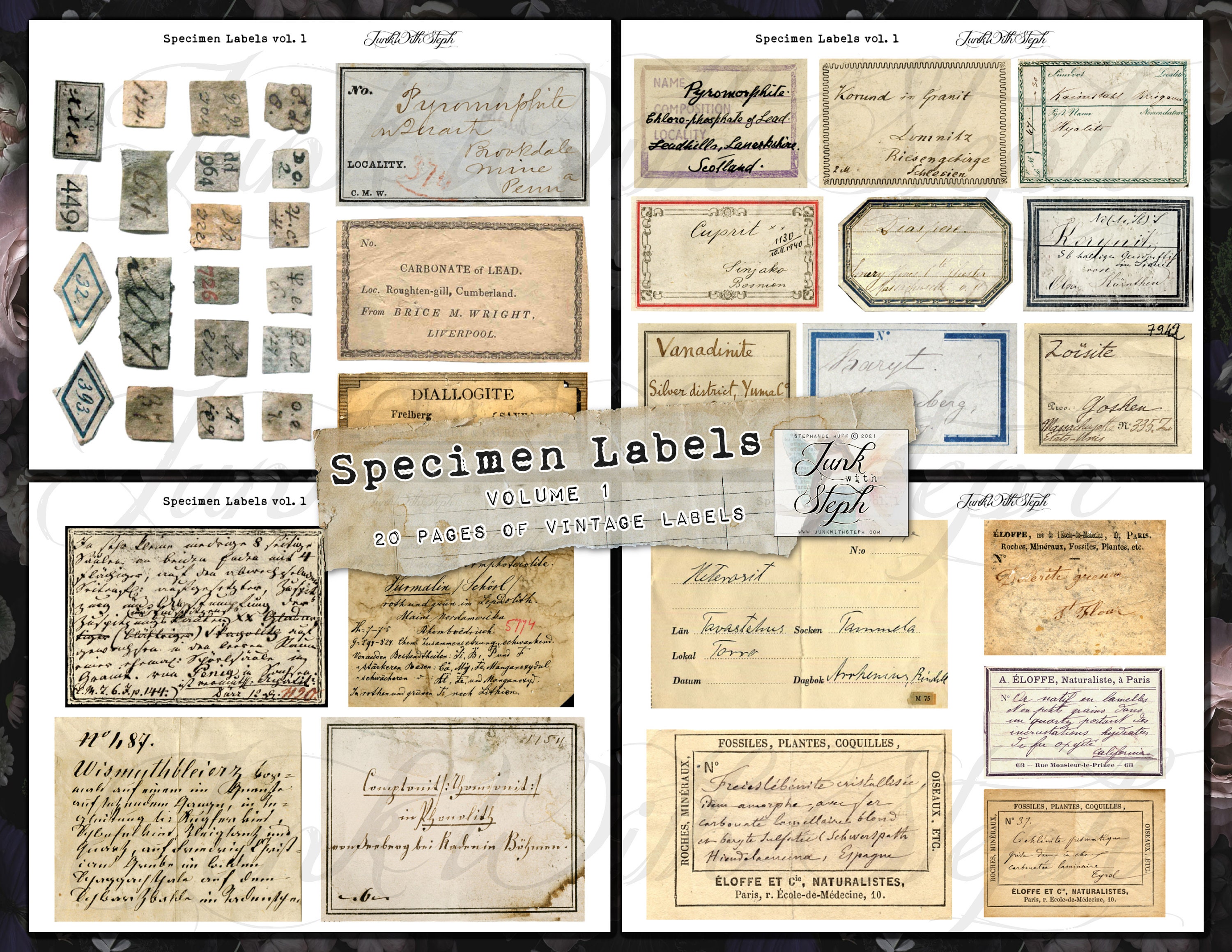 Specimen Labels Vol.1 With 20 Pages With Over 150 Seperate - Etsy