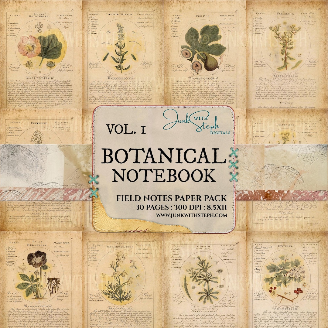 Wildflower Botanical Notebook: Printable Vintage Field Notes Volume 1 ...