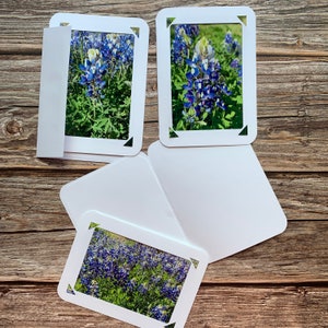 Texas Bluebonnets Photo Note Cards Set of 4 Texas Flowers - Etsy