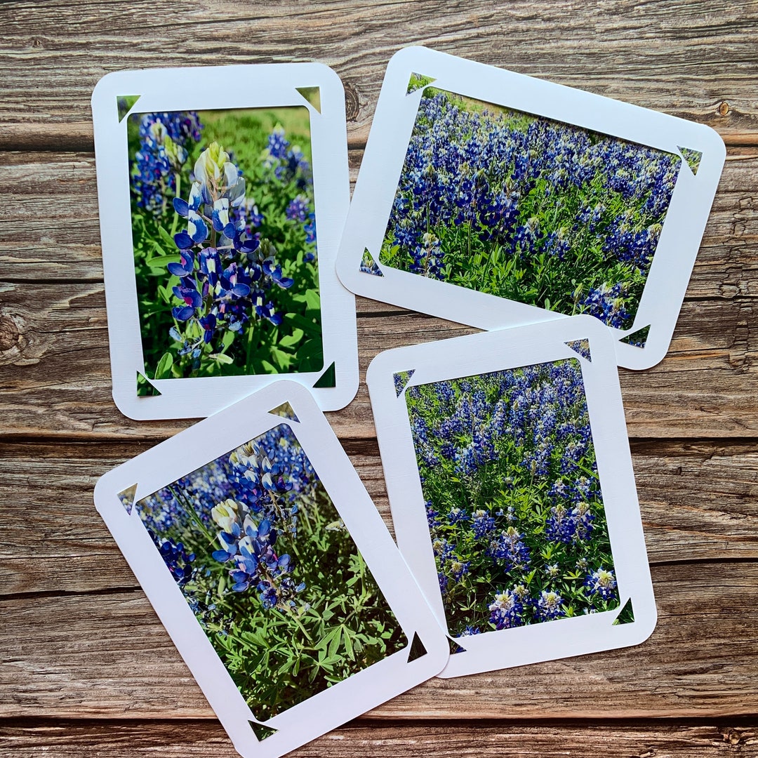 Texas Bluebonnets Photo Note Cards Set of 4 Texas Flowers - Etsy