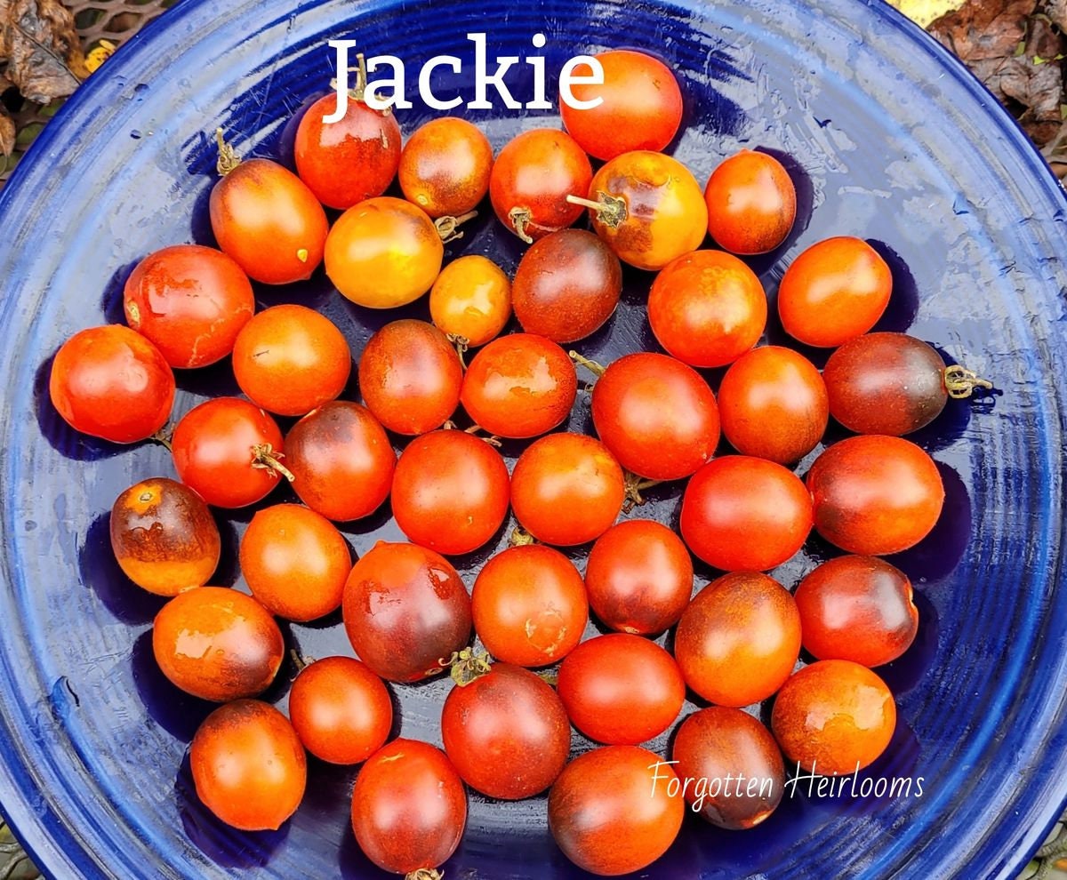 Jackie Cherry - Etsy