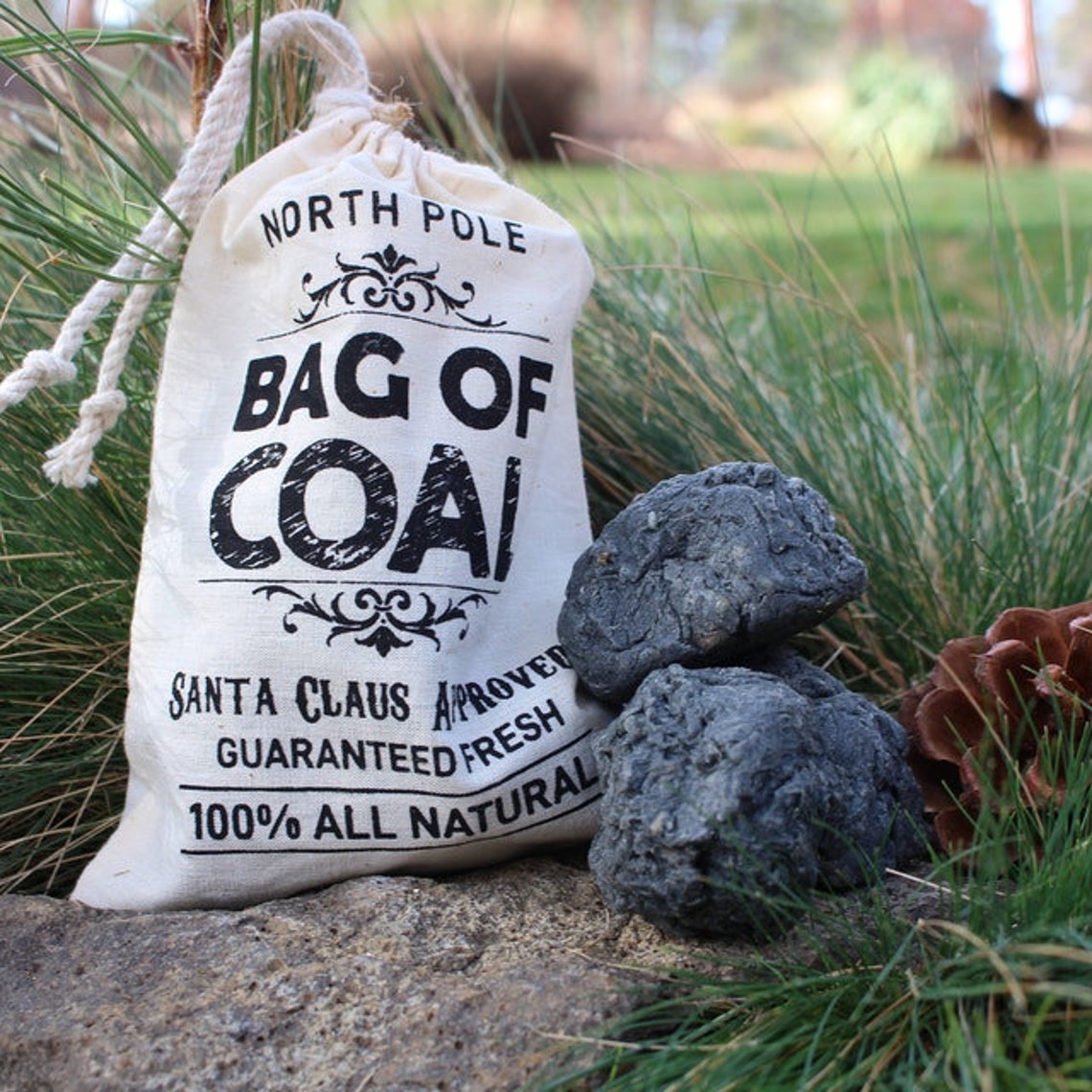 Christmas Bag-bag of Coal-christmas Gift Bag-christmas Favor | Etsy