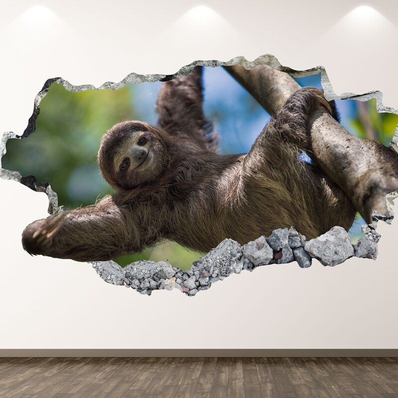 Sloth Decals - Etsy