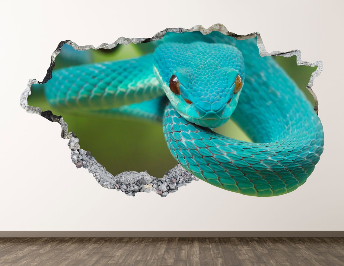 Beautiful Snake Wall Decal Animal 3D Smashed Wall Art Sticker Kids Room ...
