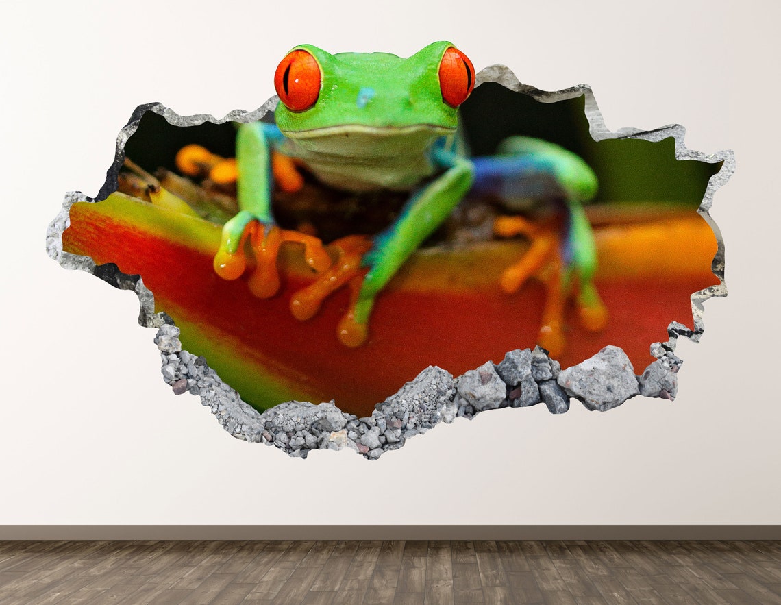 Wild Frog Wall Decal Animal 3D Smashed Wall Art Sticker Kids - Etsy