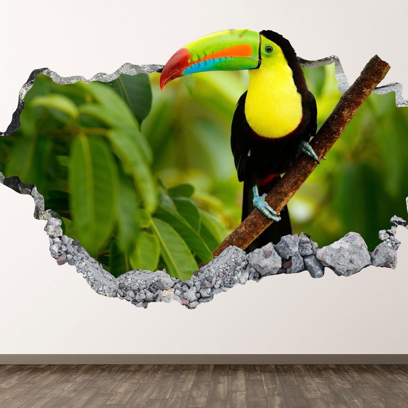 Toucan Poster - Etsy