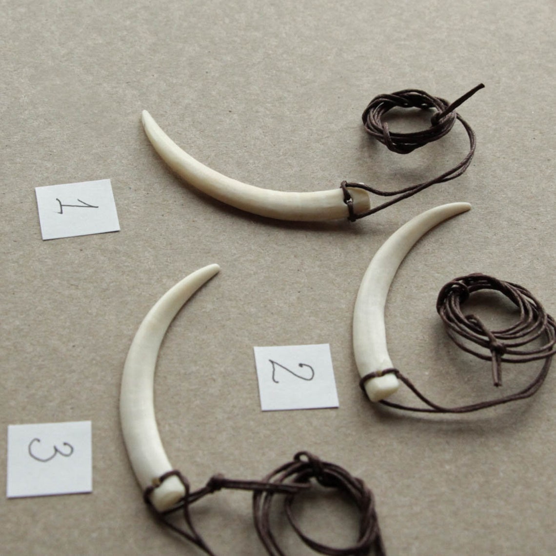 Colmillo del ciervo almizclero siberiano. Amuleto de hueso | Etsy