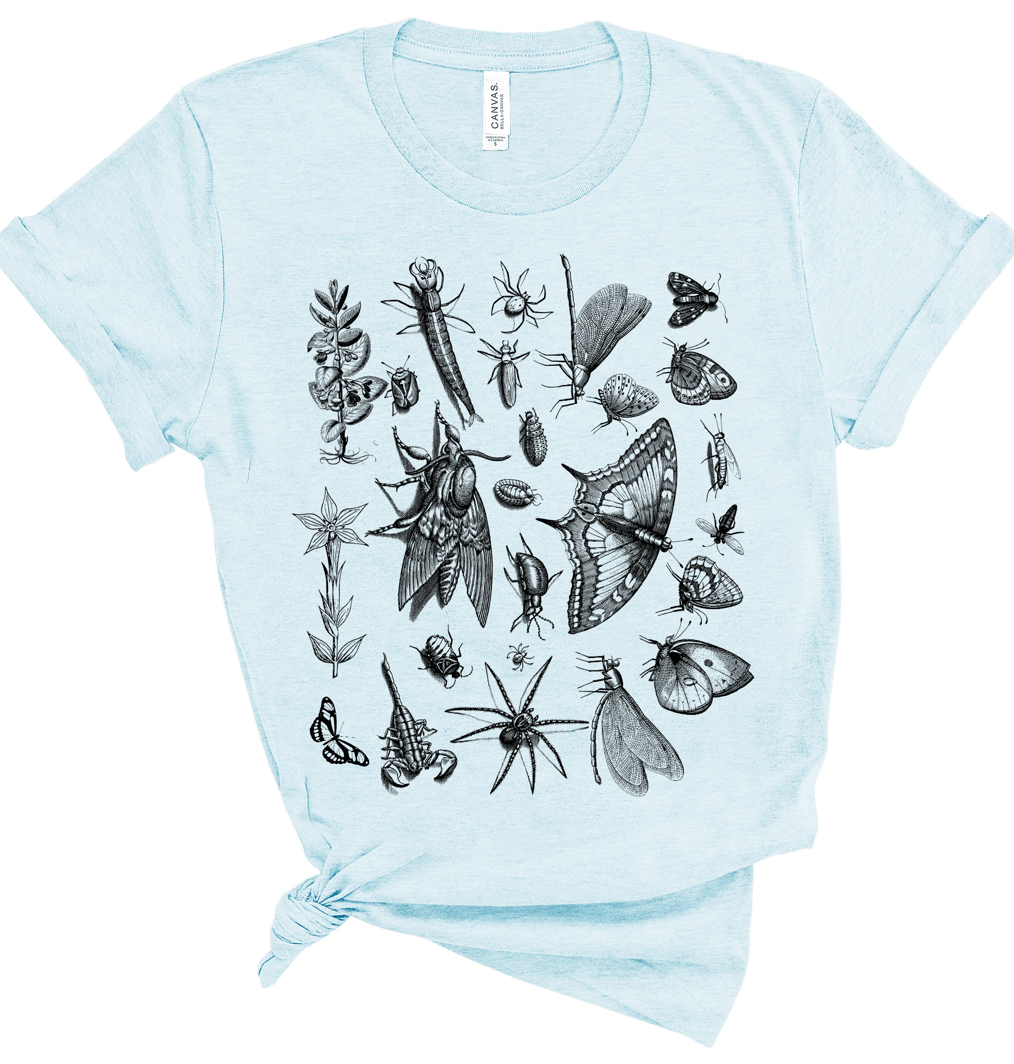 Insect Lovers Tshirt insect T Shirtinsect Tee Insect - Etsy