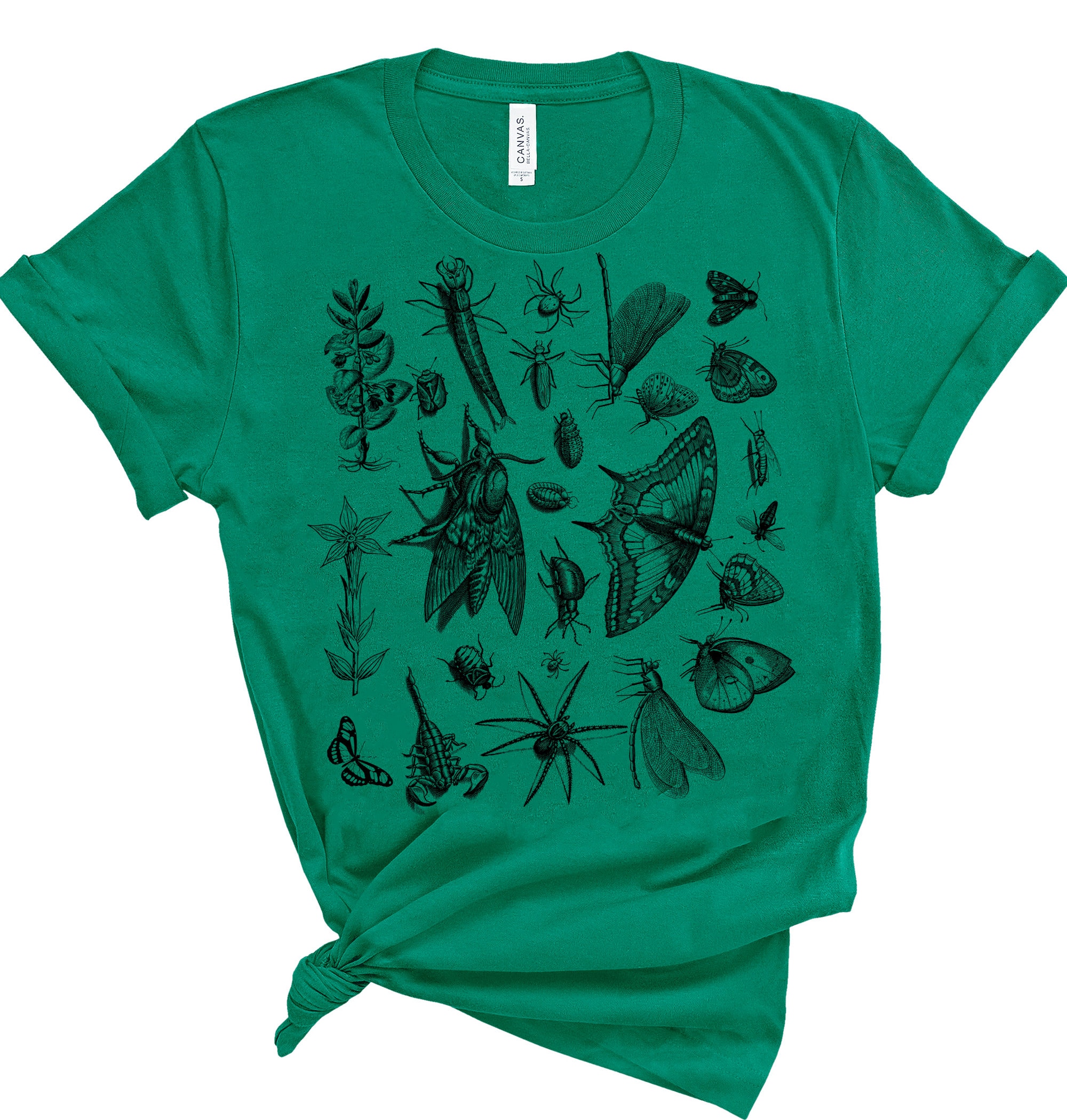 Insect lovers Tshirt ,Insect T shirt,Insect Tee, Insect print,Insect ...