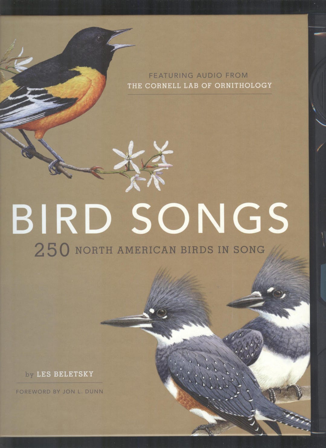Bird Songs 250 North American Birds in Song by Les Beletsky Featuring ...