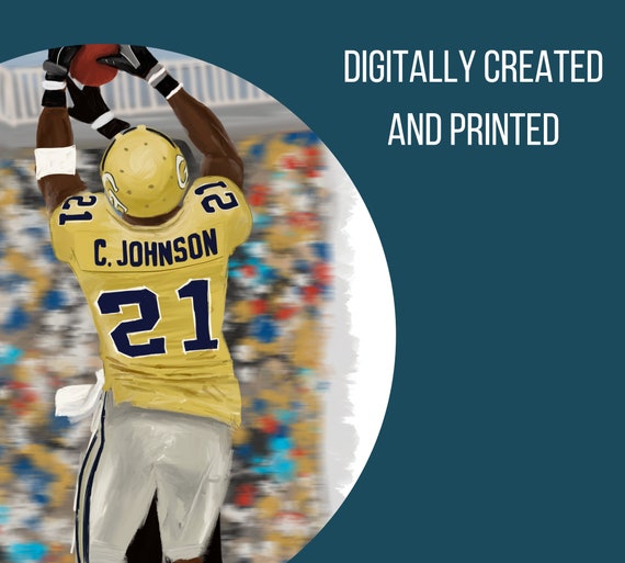 Calvin Johnson College