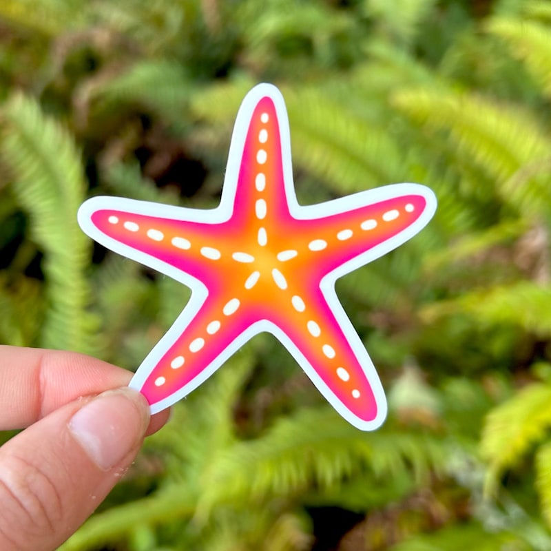 Starfish Sticker - Etsy