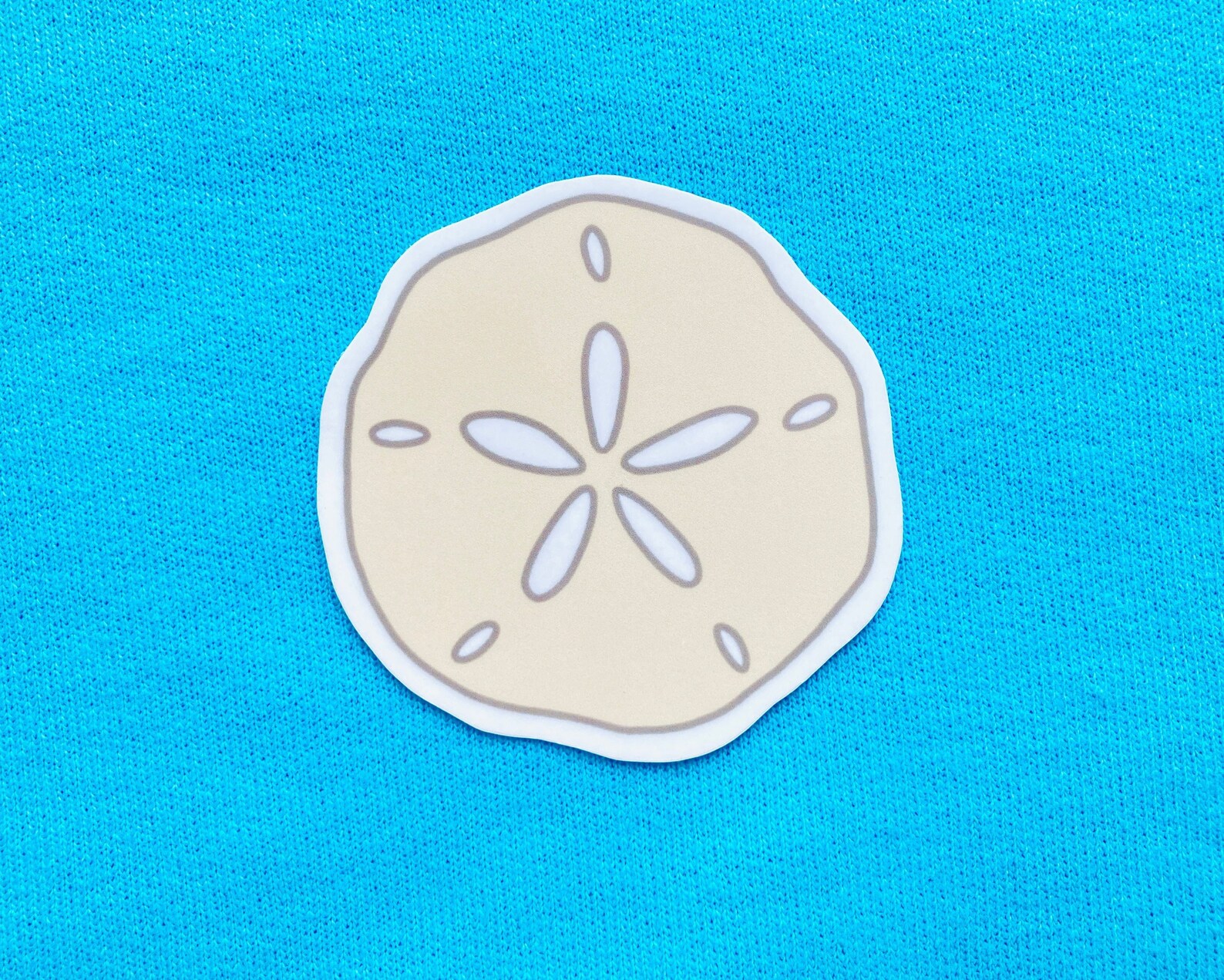 Sand Dollar Sticker - Etsy