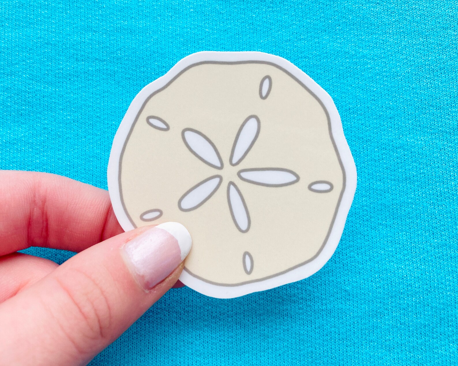 Sand Dollar Sticker - Etsy
