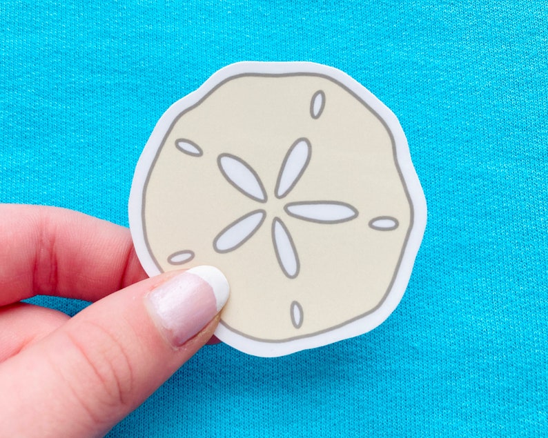 Sand Dollar Sticker - Etsy