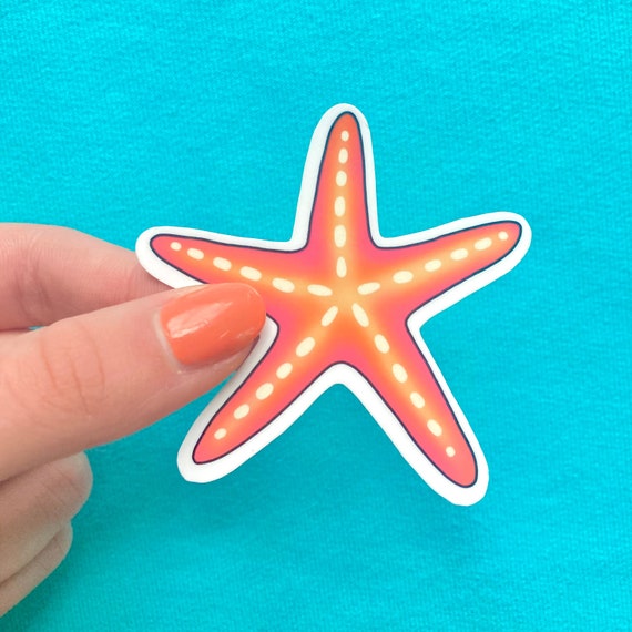 Coral Starfish Sticker | Etsy